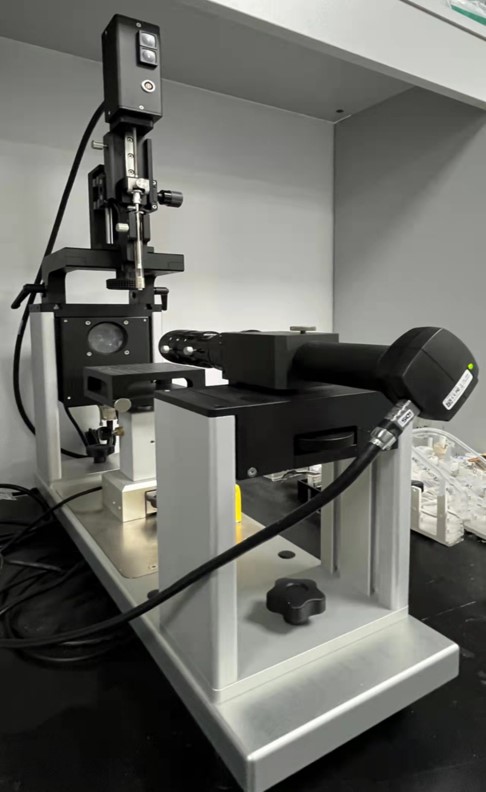 Lab Facilities - the shan research group